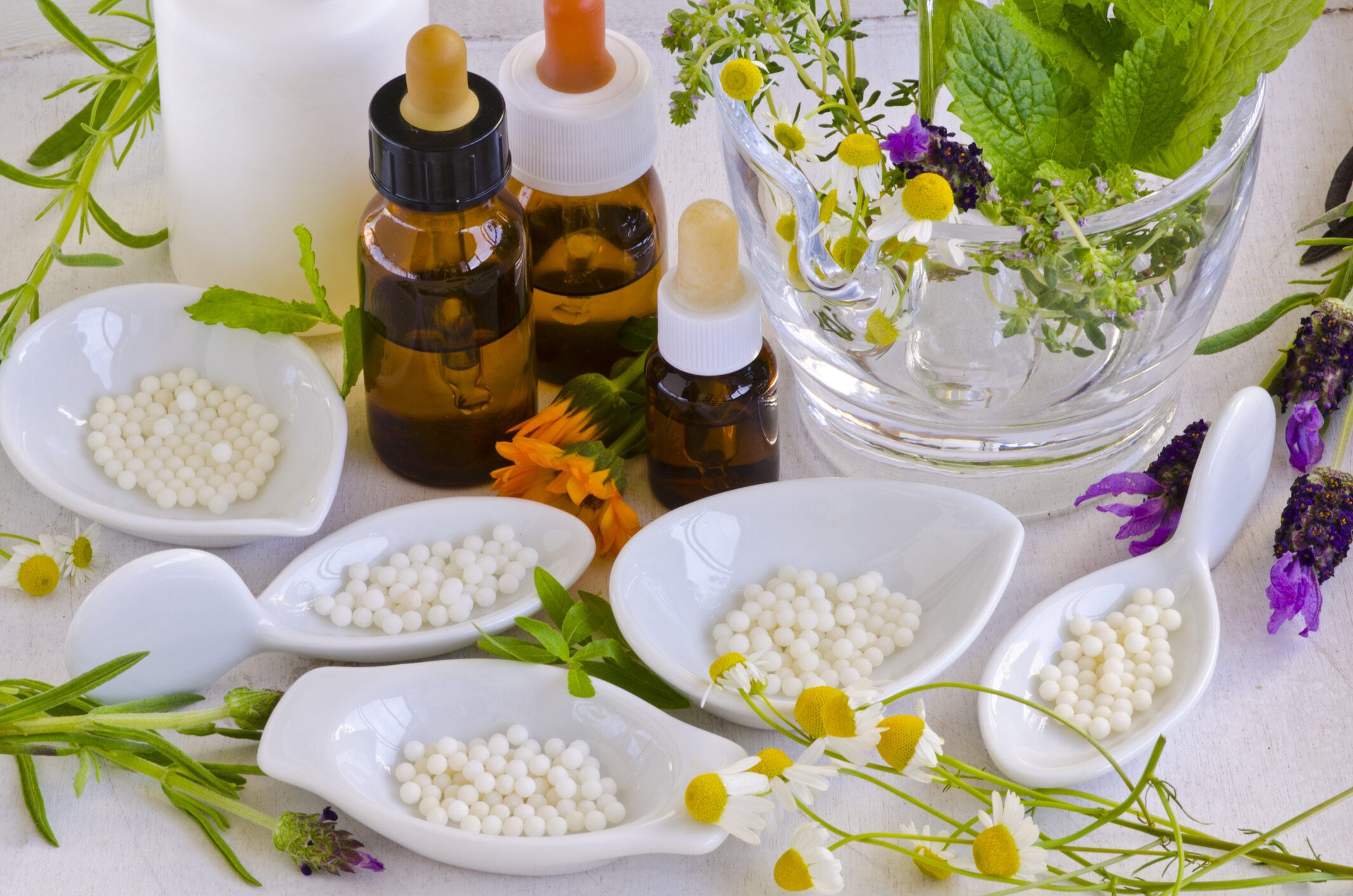 How Homeopathy Works 1 ACHS edu