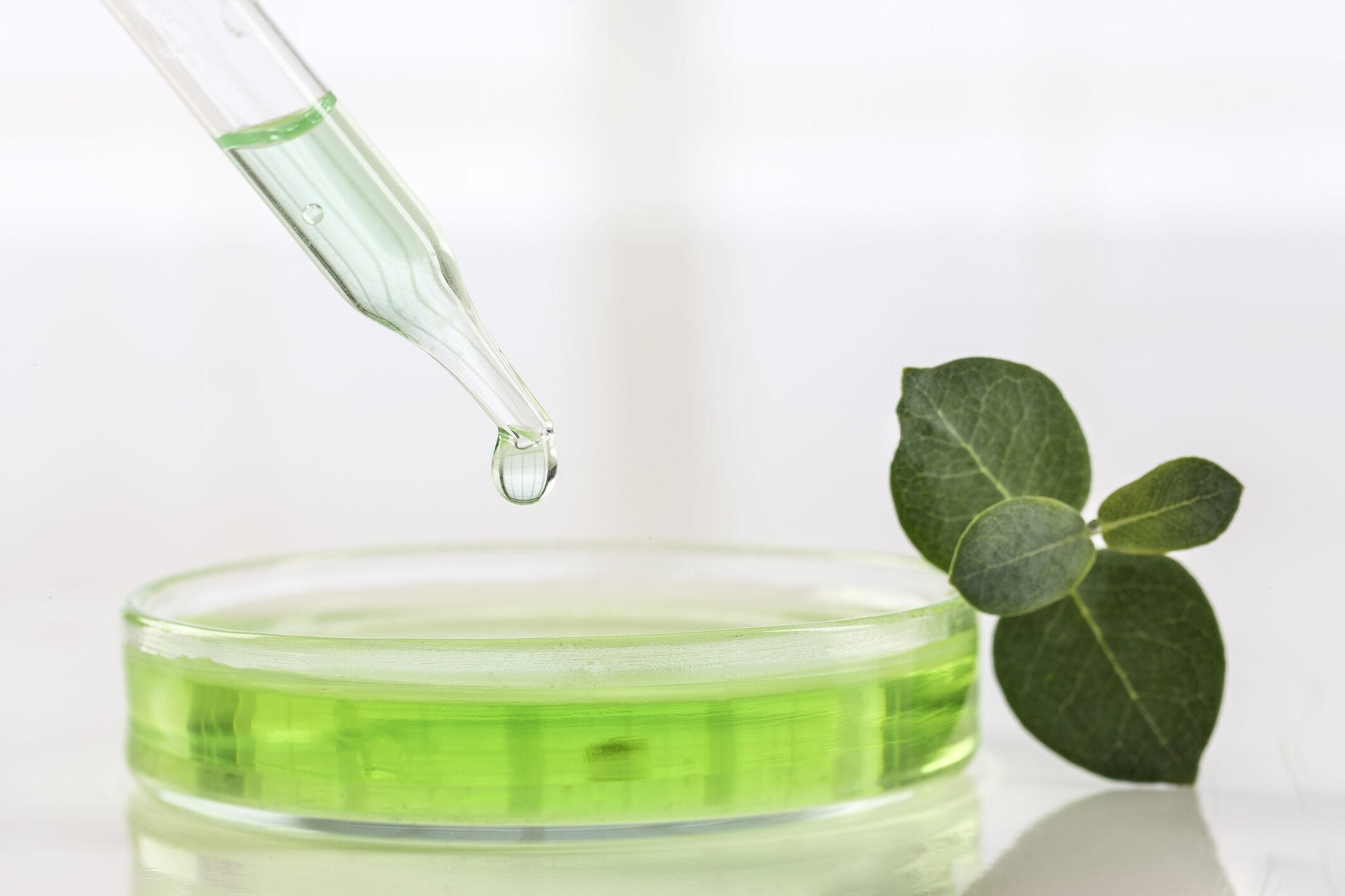 Introduction to Essential Oil Chemistry - 1 - ACHS.edu