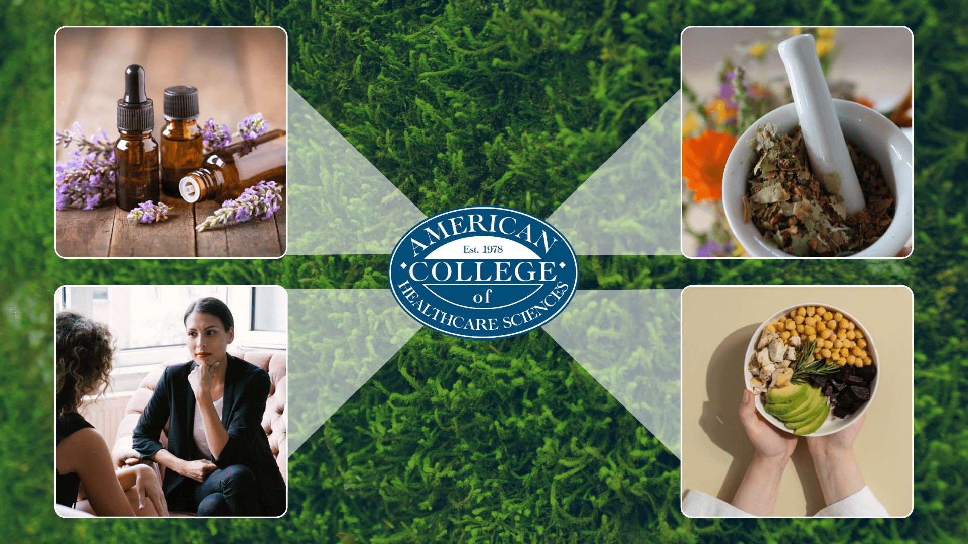 Choosing the Right ACHS Program for You: A Comprehensive Guide ...