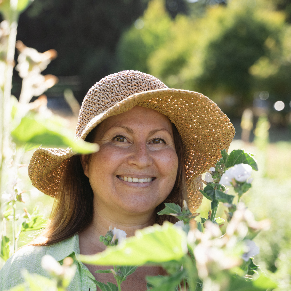 [WEBINAR] Celebrating Herb Day 2026 | American College of Healthcare ...